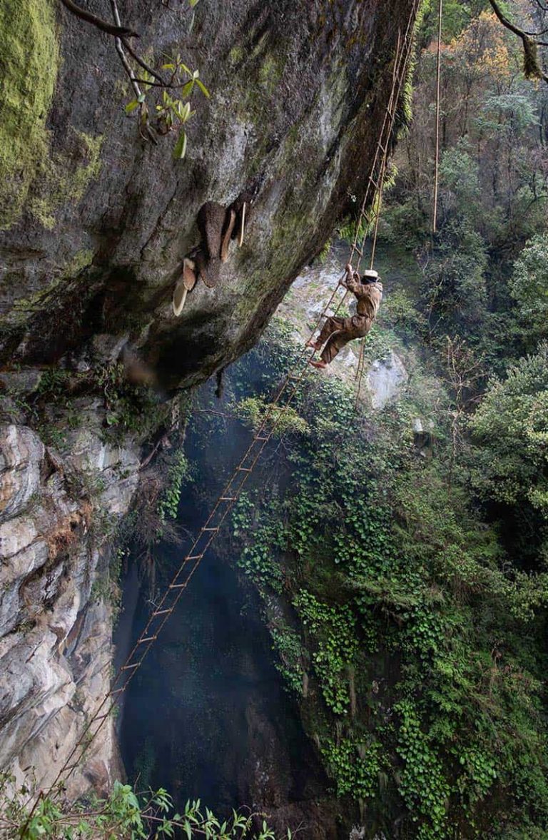 wild-honey-nepal-cliff-honey-mad-honey-price-benefits-use